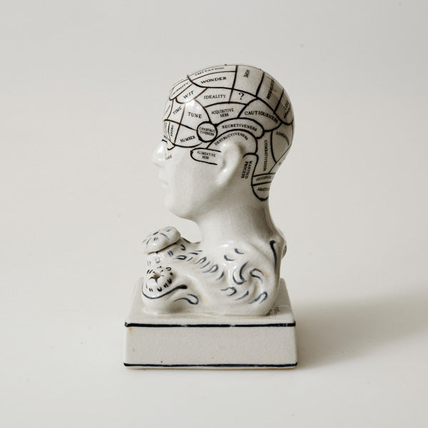 Phreno Phrenology Head Ink Human Retro Vintage Ornament – The Renmy ...