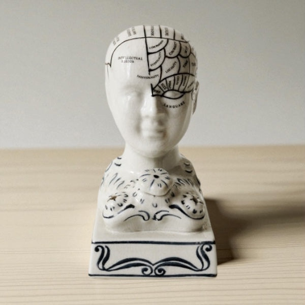 Phreno Phrenology Head Scroll Human Retro Vintage Ornament – The Renmy ...