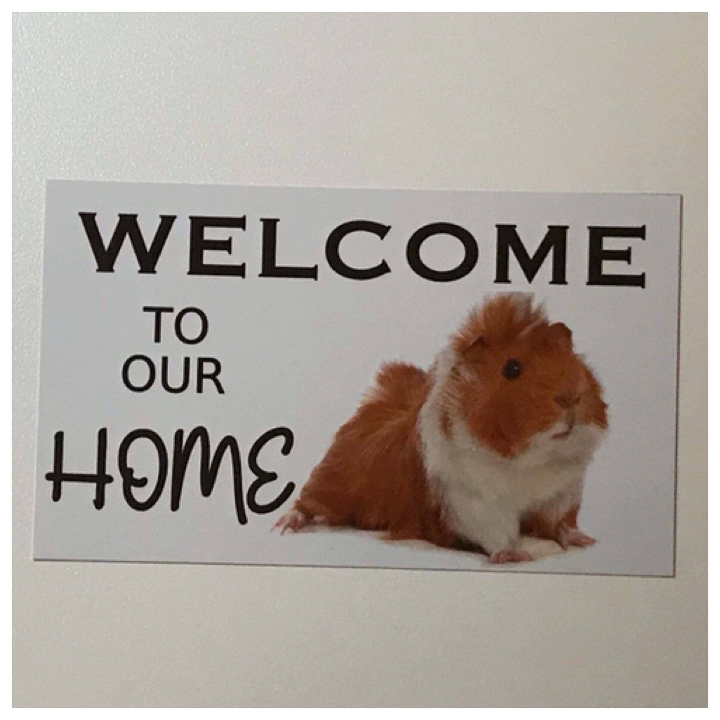 Welcome To Our Home Cute Guinea Pig Sign