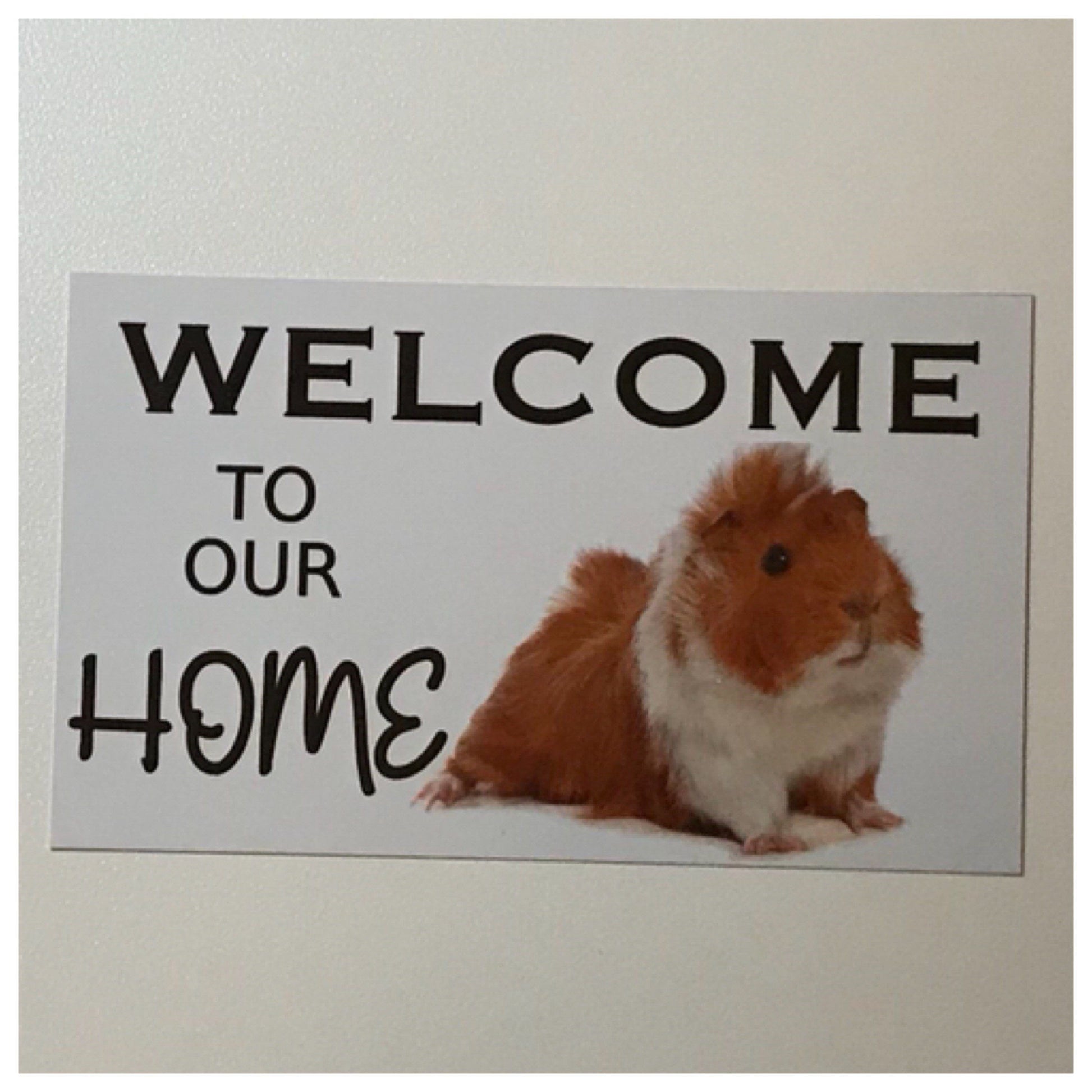 Welcome To Our Home Cute Guinea Pig Sign